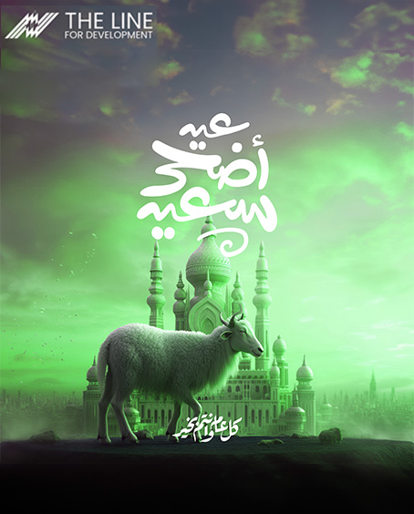 Hesham Haleem - Portfolio